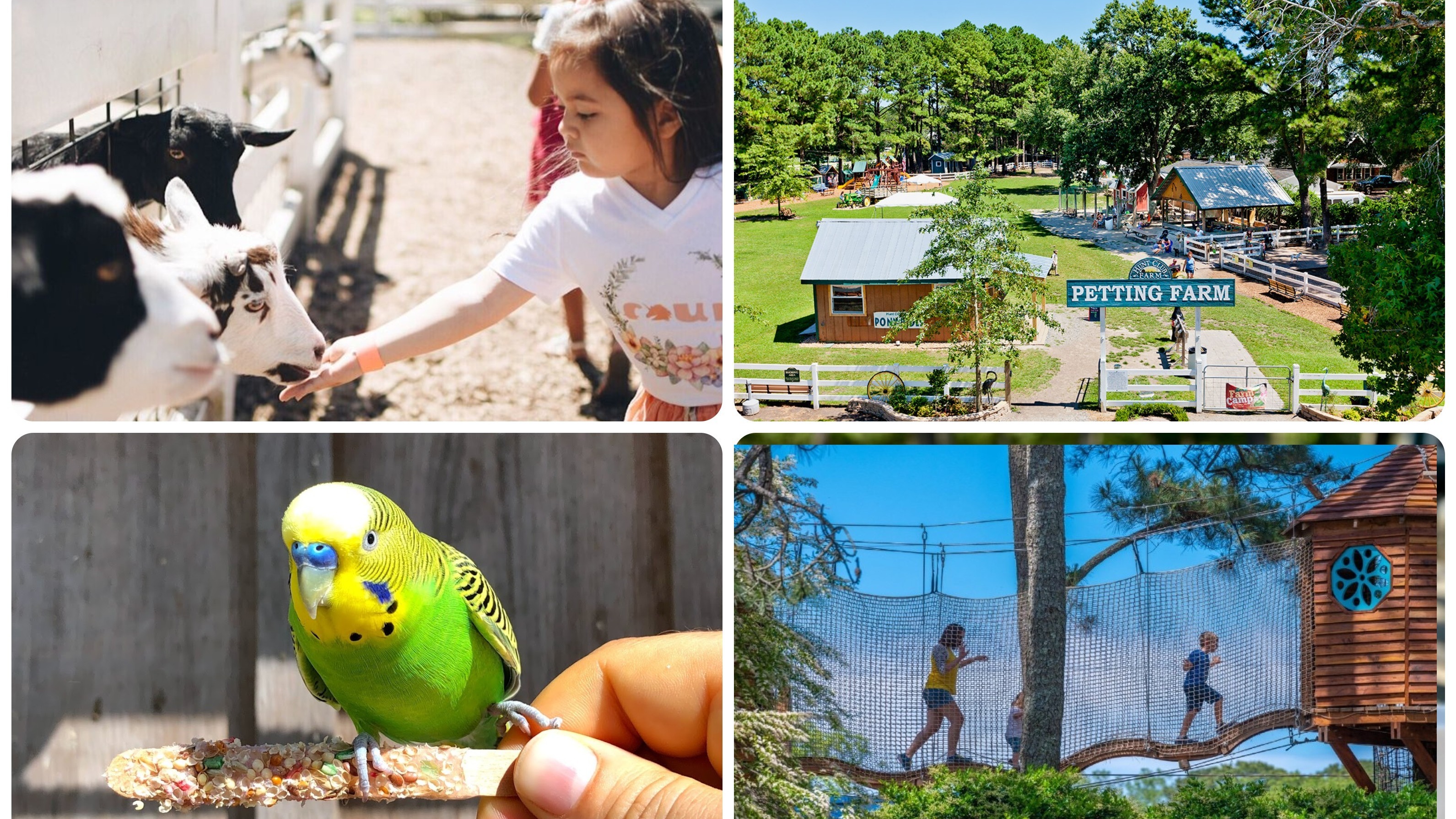 Discounted YEAR LONG Passes to Hunt Club Farm - Includes Admission to ...